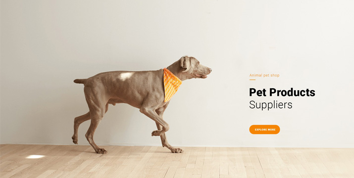 Αξεσουάρ Κατοικιδίων - The Best Online Pet shop in Cyprus | Skroutz.co ...